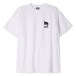 Int. Visual Industries